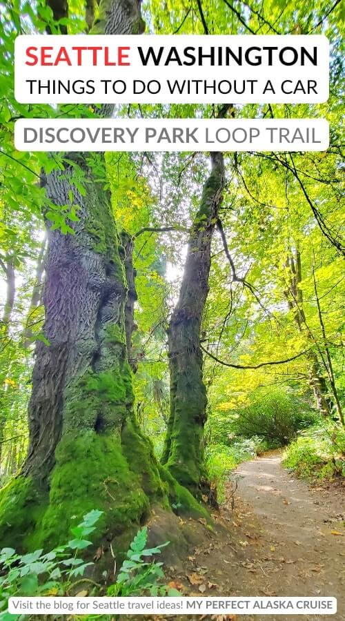 10 mostly free things to do in Seattle without a car (before a cruise ...